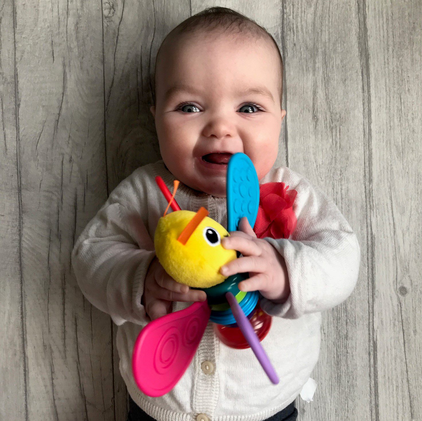 REVIEW - Lamaze Toys - New Additions - Real Mum Reviews